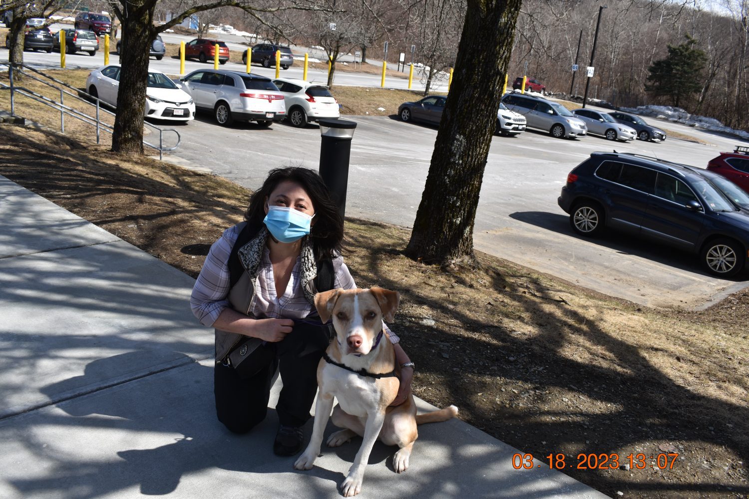 Tufts PAWS for People partners to offer Therapeutic Pet Services to HBM ...