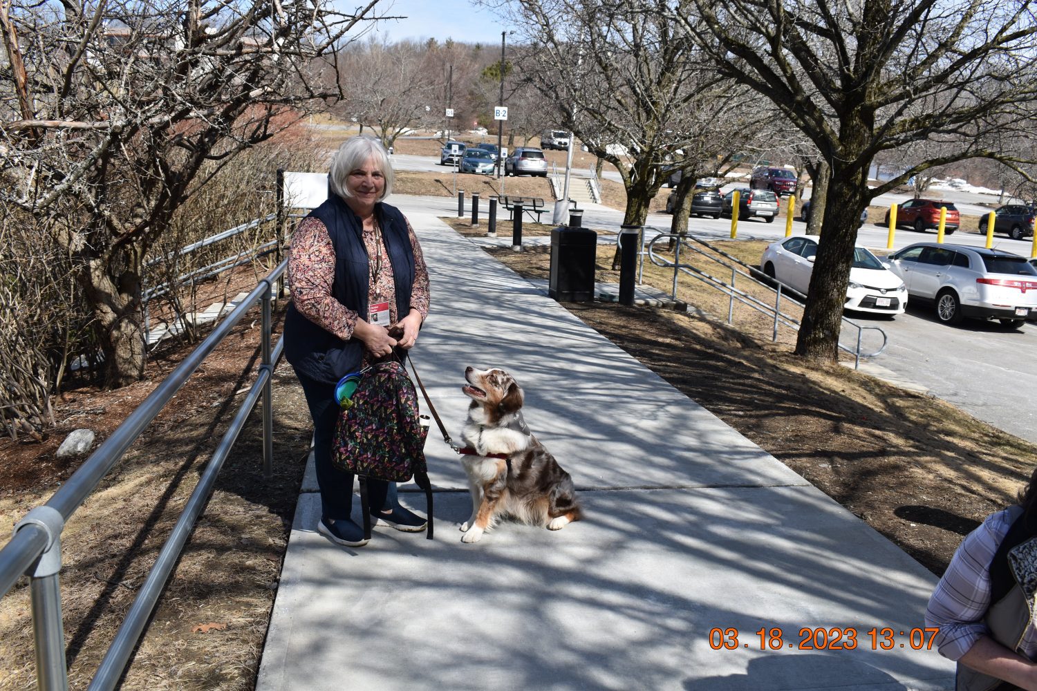 Tufts PAWS for People partners to offer Therapeutic Pet Services to HBM ...